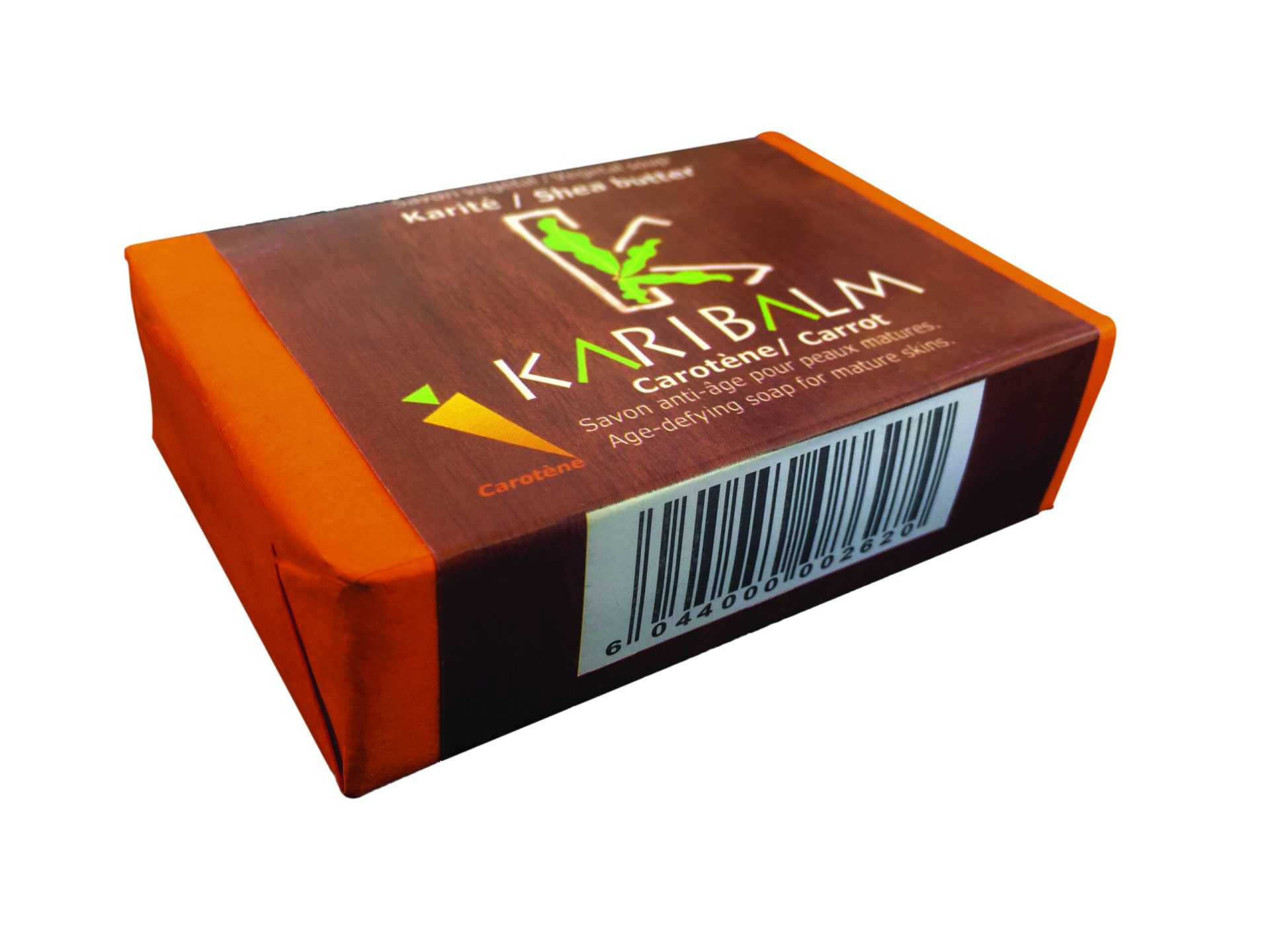 BIOSENE | Plateforme «E-KOMKOM» | Page 3